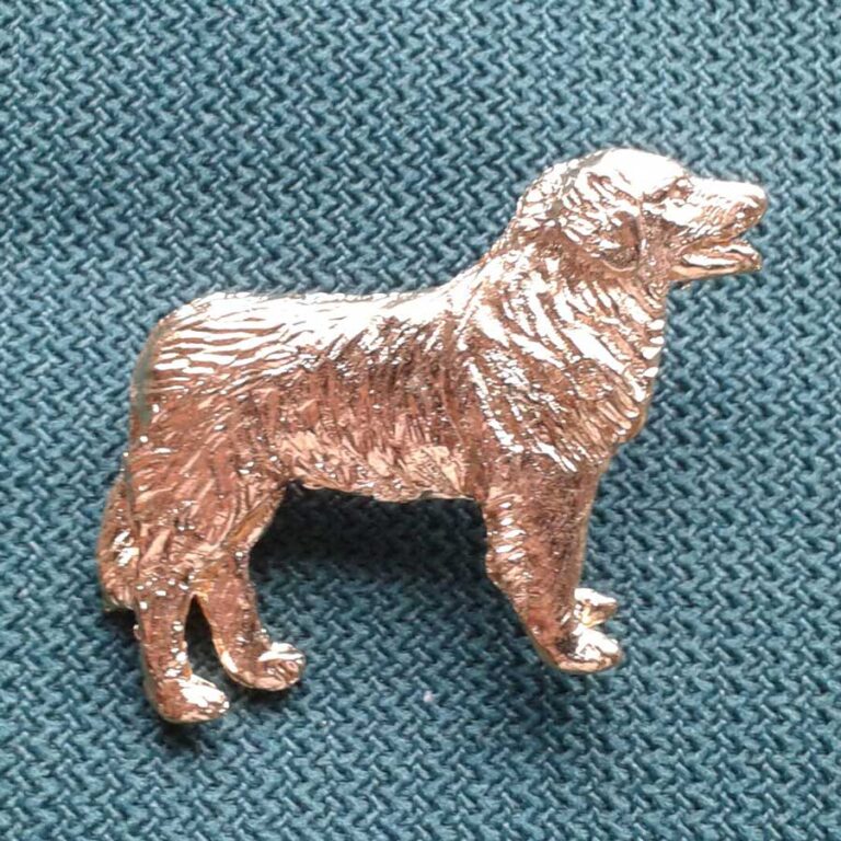 Leonberger Rescue & Welfare – The Leonberger Club of Great Britain